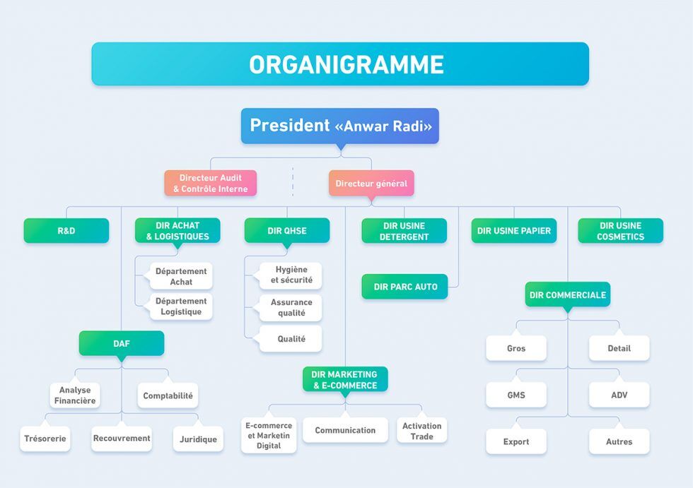 Structure et Gouvernance | ENOSIS GROUP